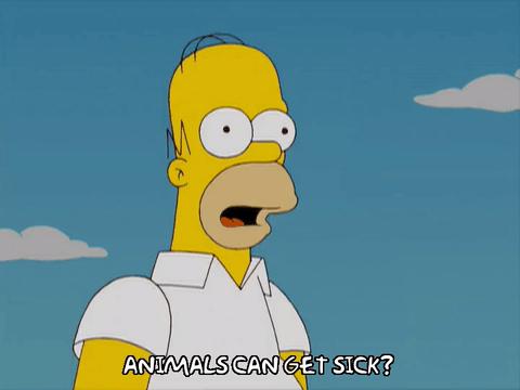 Homer simpson episode 8 talking GIF - Find on GIFER