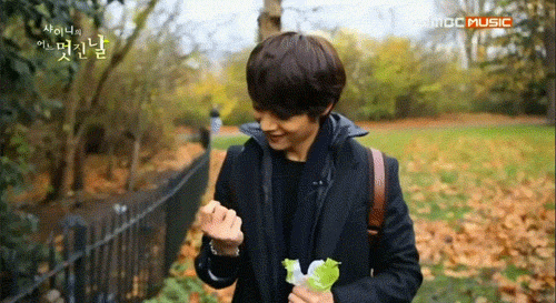 GIF choi minho - animated GIF on GIFER