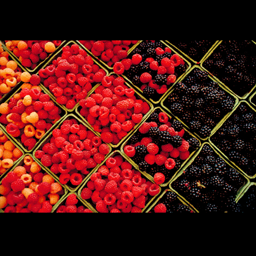 GIF still life - animated GIF on GIFER