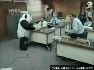 Gif De Oso Panda Enojado