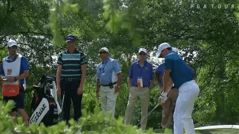 Rory mcilroy GIF - Find on GIFER