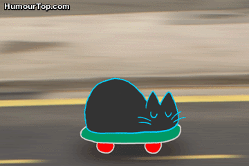 GIF skate - animated GIF on GIFER