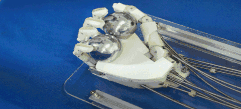 GIF adh - animated GIF on GIFER