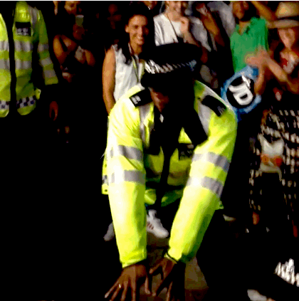 GIF amazing - animated GIF on GIFER