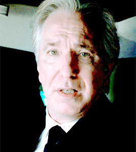 Solo Estoy Bromeando Gif Tyndale | Reconectados