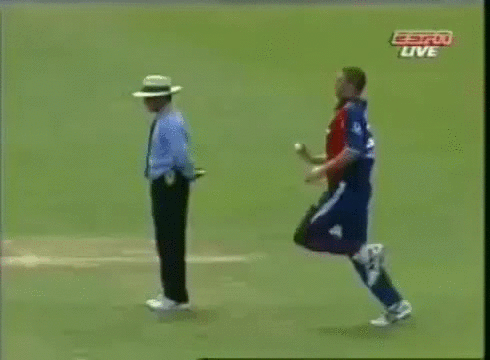 Cricket player catches GIF - Find on GIFER