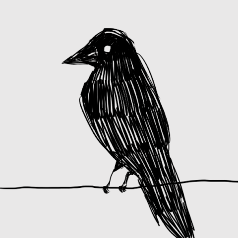 Crow GIF - Find on GIFER
