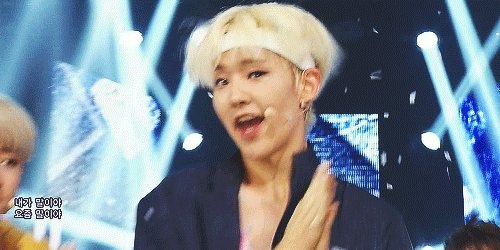 Seventeen GIF - Find on GIFER