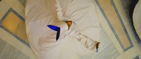 GIF time discussion reviews - animated GIF on GIFER