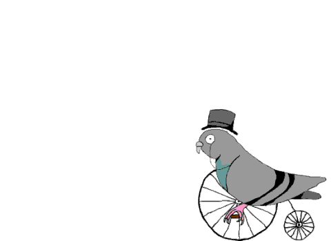 Pigeon GIF - Find on GIFER