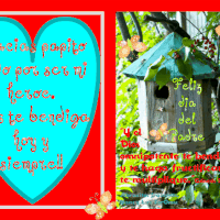 Del GIF - Find on GIFER