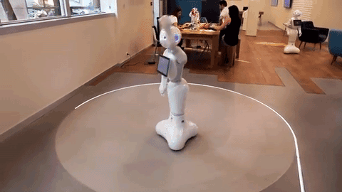 Humans GIF - Find on GIFER