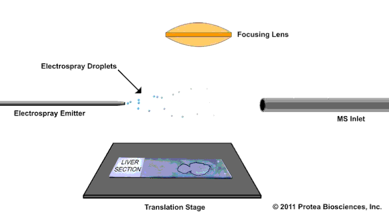 Ms GIF - Find on GIFER