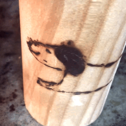 Fer GIF - Find on GIFER