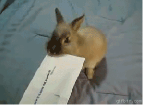 New letter open GIF - Find on GIFER