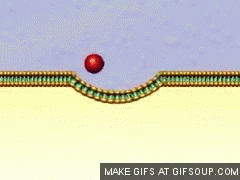 Active GIF - Find on GIFER