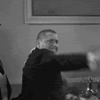 Bush GIF - Find on GIFER