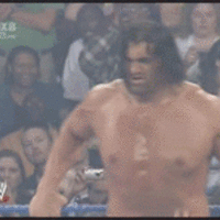 Hulk hogan GIF - Find on GIFER
