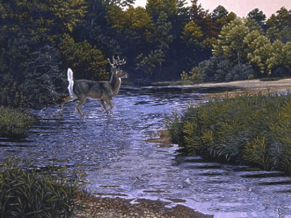 River GIF - Find on GIFER