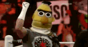 Misc GIF - Find on GIFER