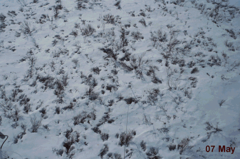 Gif Derritiéndose Carita Sonriente Derritiéndose, Pegatina Trippy.