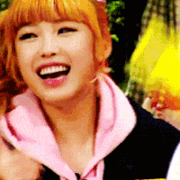 Misc GIF - Find on GIFER