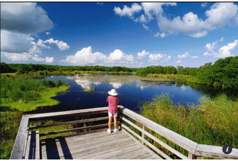 GIF resort - animated GIF on GIFER