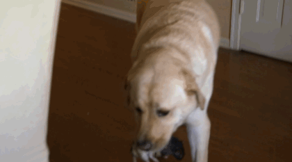 With recap GIF - Find on GIFER