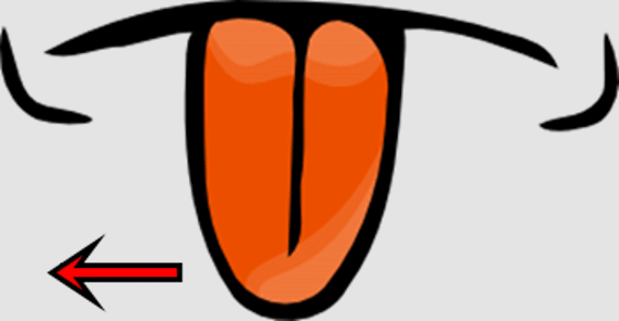Tongue