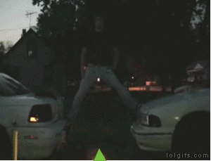 Page front GIF - Find on GIFER