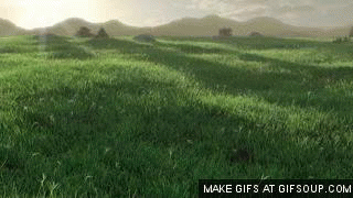 Field GIF - Find on GIFER