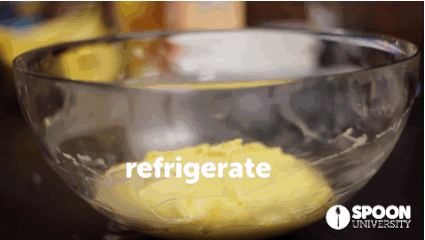 GIF magnolia - animated GIF on GIFER
