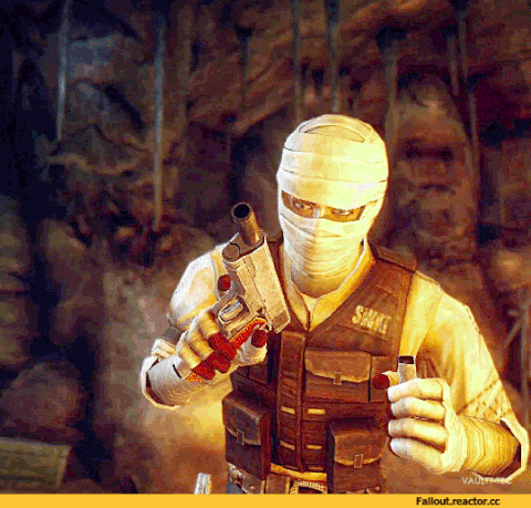 Gif De Memes De Fallout New Vegas New Vegas Fallout Build Meme