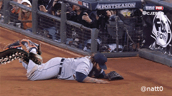 Nl east champions GIF - Find on GIFER