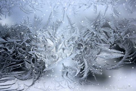 Frost GIF - Find on GIFER