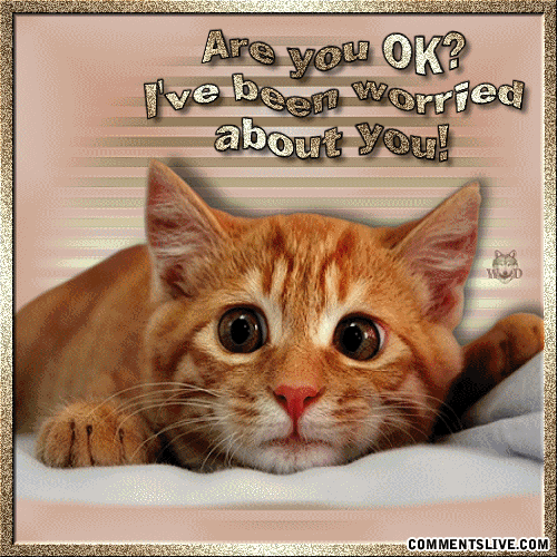 Worried GIF - Find on GIFER