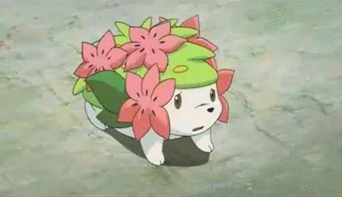 Legendary pokemon GIF - Find on GIFER
