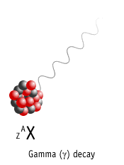 Xray GIF - Find on GIFER