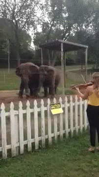 Trance music woman GIF - Find on GIFER