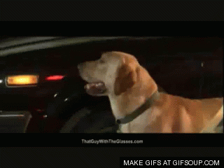 Have we reached peak Yeti? > General Discussion > AR15.COM