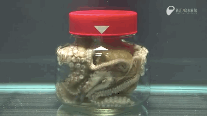 GIF diy - animated GIF on GIFER