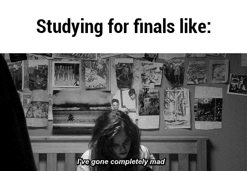 Studying GIF - Find on GIFER