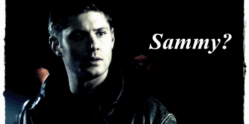 Sammy GIF - Find on GIFER
