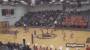 Snooki GIF - Find on GIFER