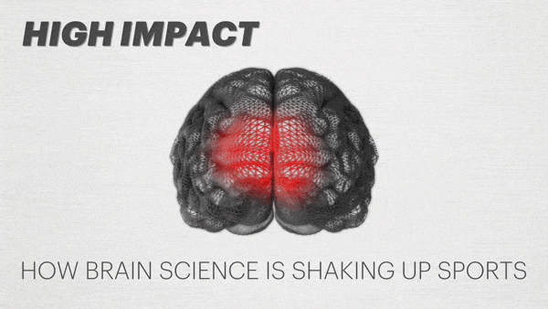 GIF brain - animated GIF on GIFER