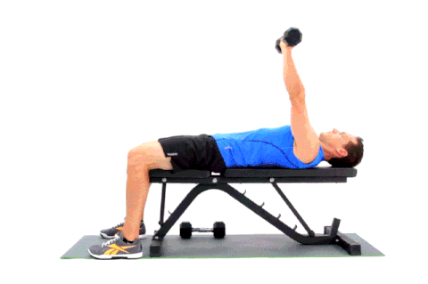 Bench GIF - Find on GIFER