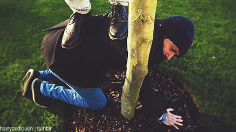 Melissa fumero GIF - Find on GIFER