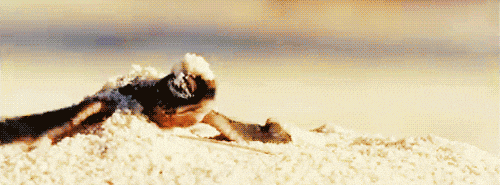Sand GIF - Find on GIFER