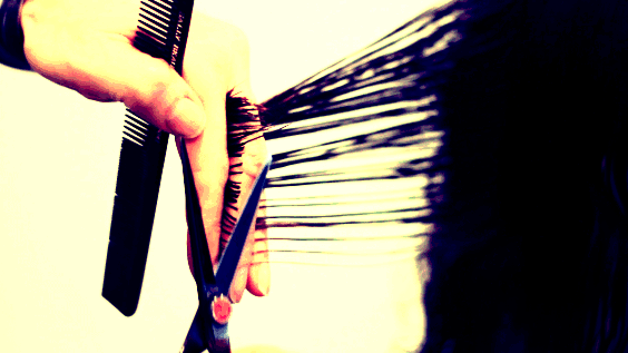 Phillips GIF - Find on GIFER