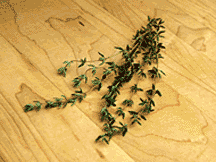 Stem GIF - Find on GIFER